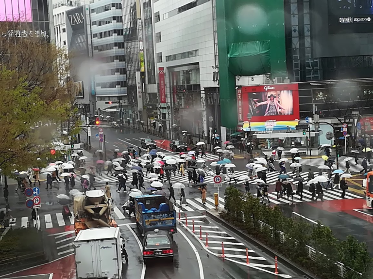 The 18 Most Fun Things To Do In Shibuya | Xperience Japan | Japan Tour ...