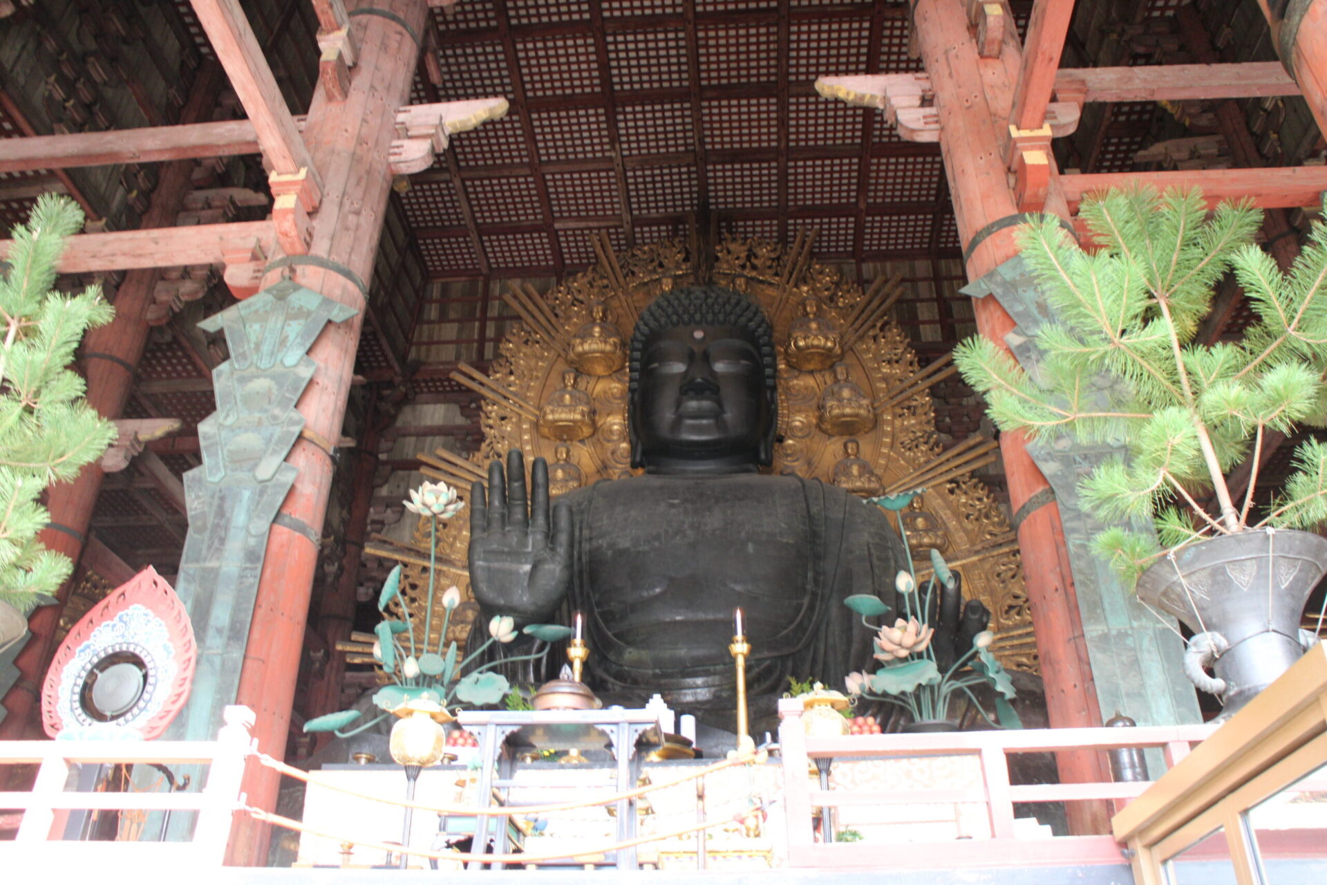 Discover Ancient NARA | UNESCO World heritage sites | Xperience Japan ...